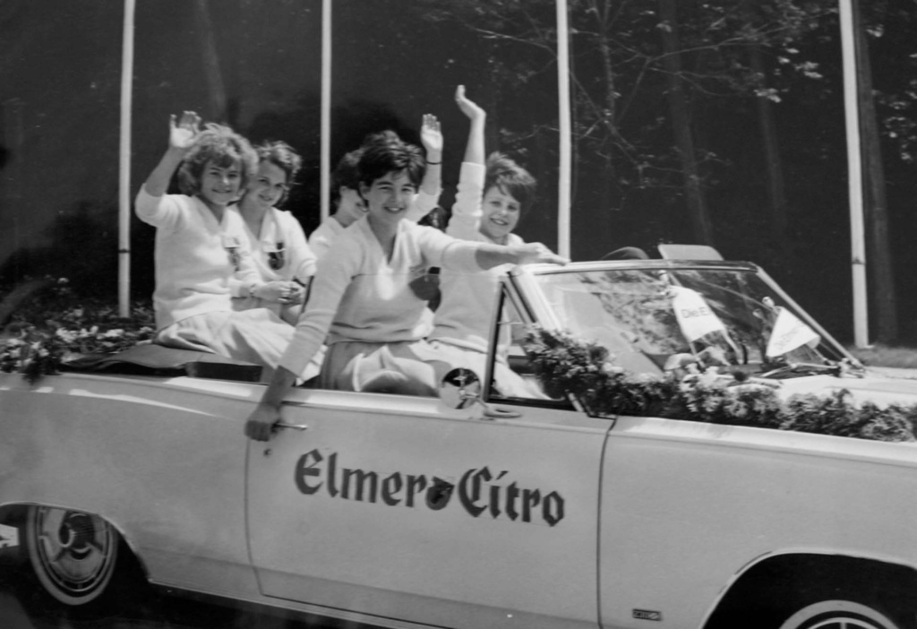 ELMER | Echt bergfrisch, 100% natürlich | Elmer